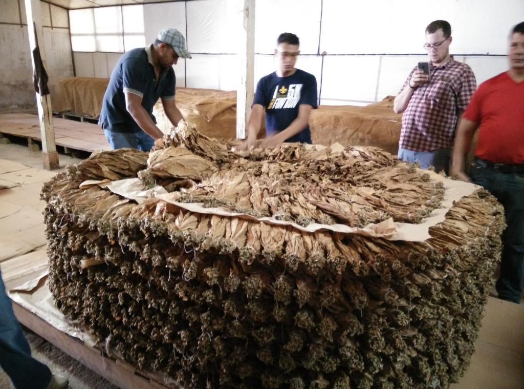 A Pelon of Criollo leaf, being built. - Anthony's Cigar Emporium ...